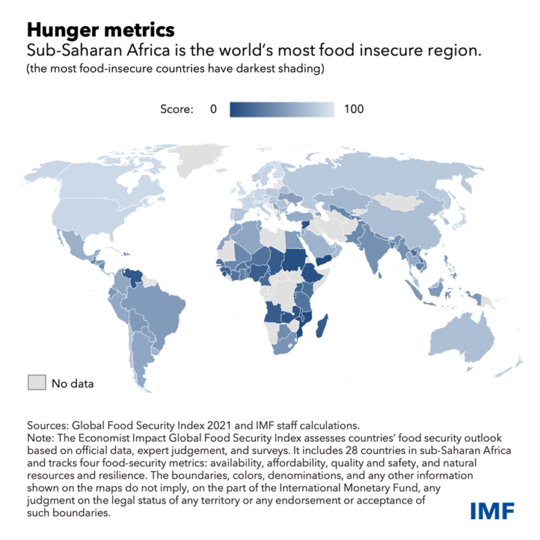 Food insecurity in sub-Saharan Africa | The Global Eye